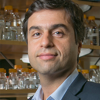 Home | 6th RNA-Targeted Drug Discovery & Development Summit